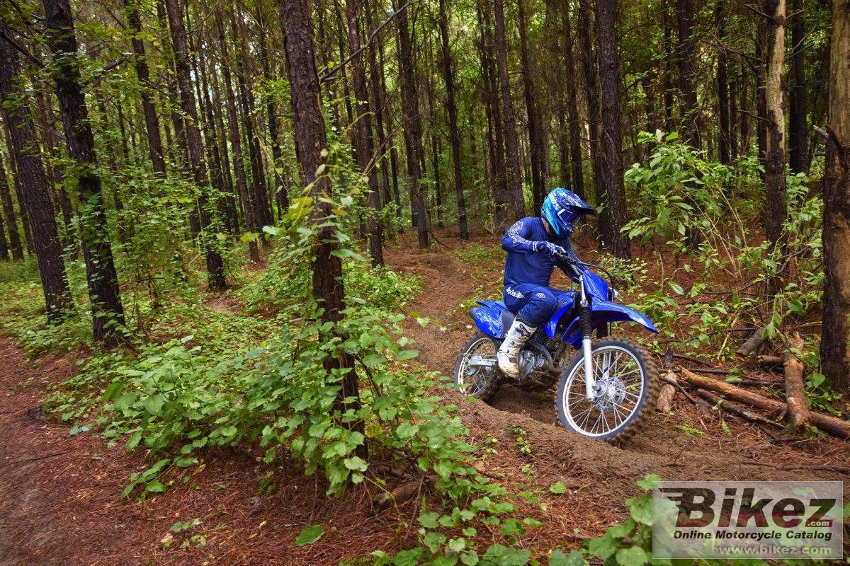 Yamaha TT-R230 poster